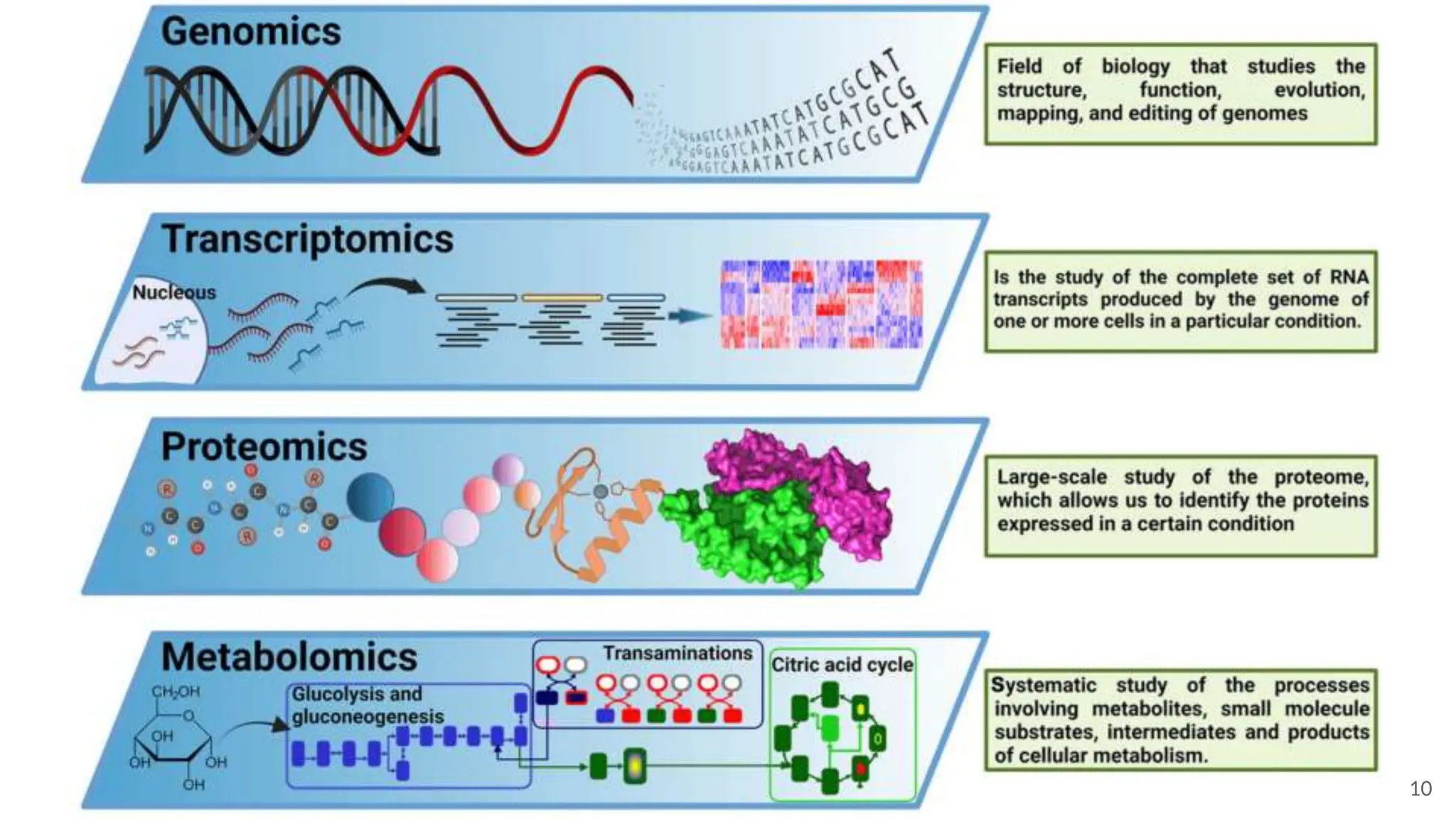 Role of Proteomics in Modern Periodontics | PPT | Free Download