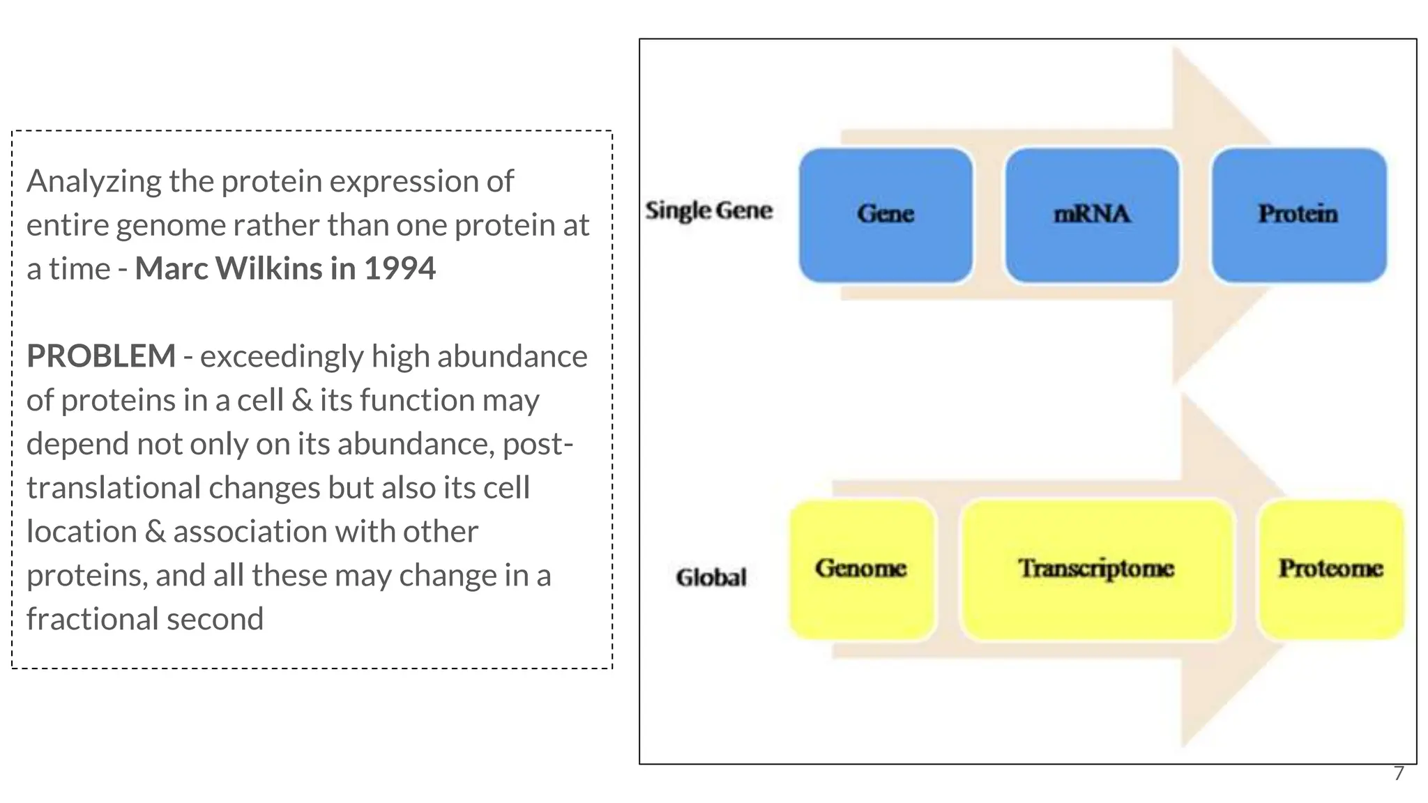 Role of Proteomics in Modern Periodontics | PPT | Free Download