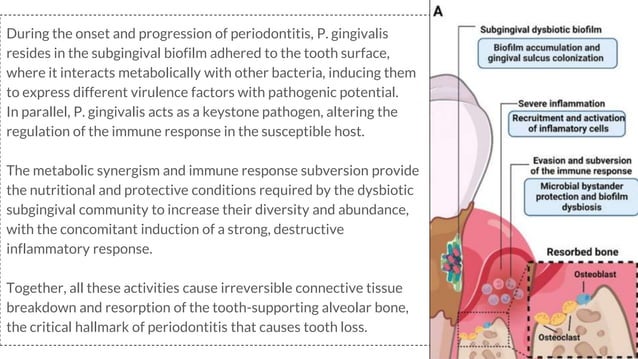 Role of Proteomics in Modern Periodontics | PPT | Free Download