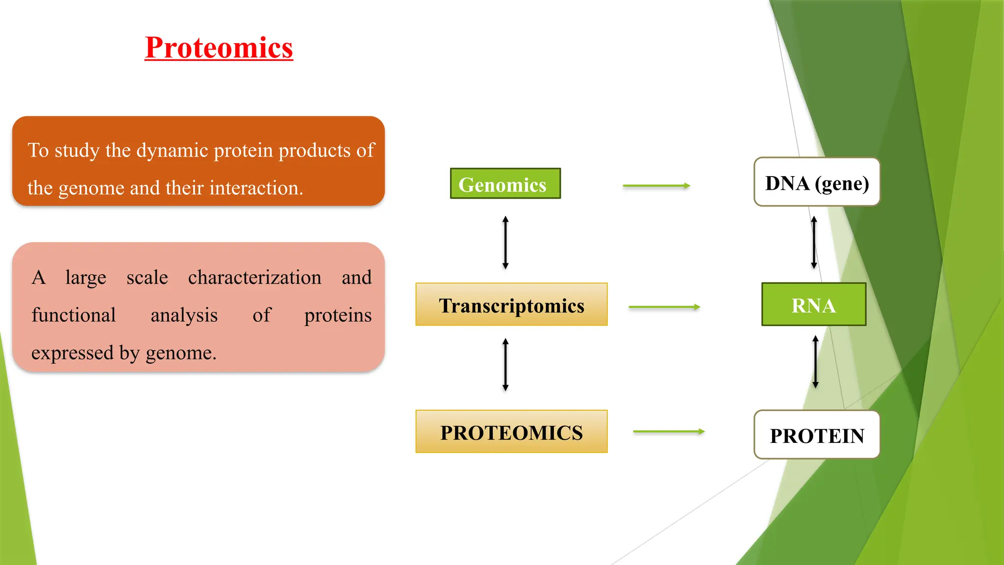 General Principle and application of Proteomics | PPTX