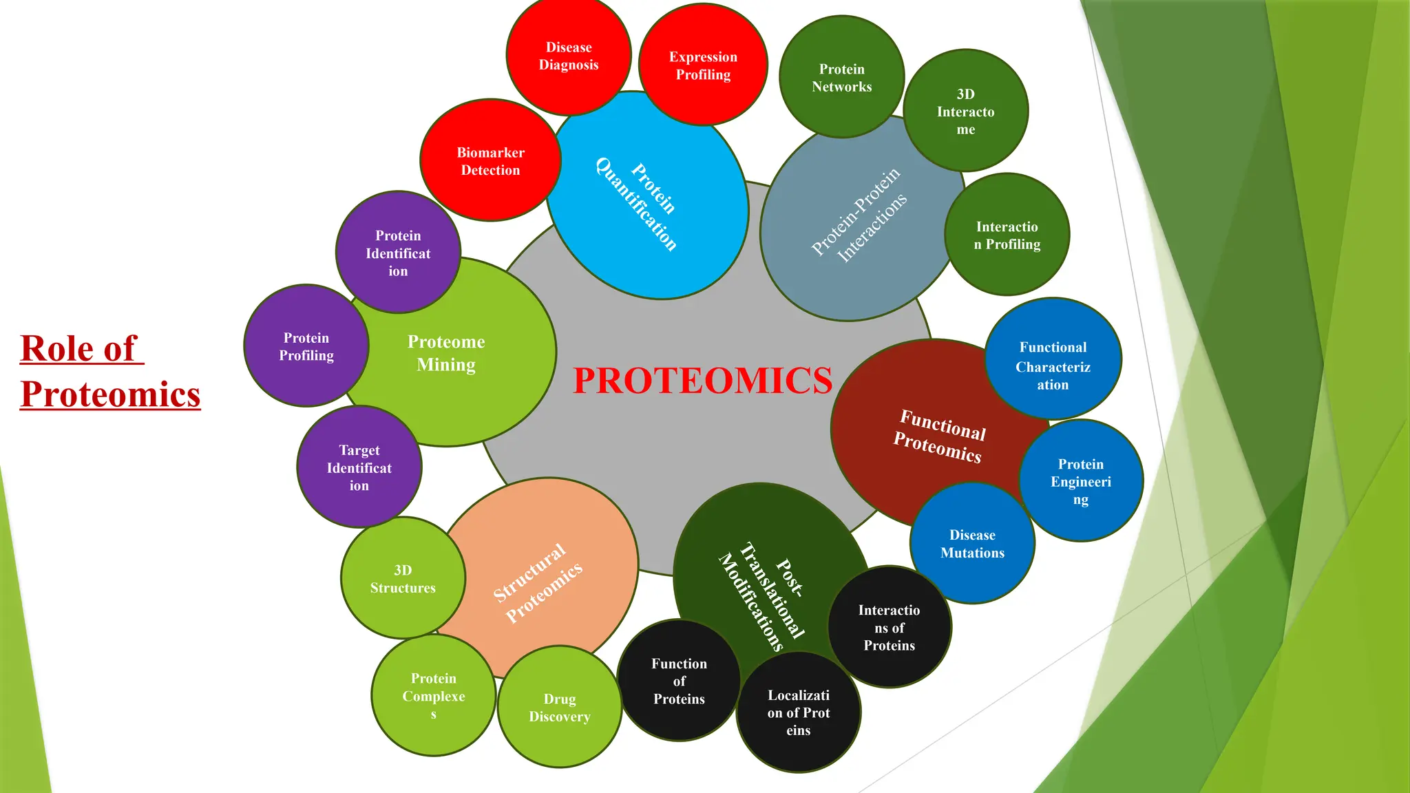 General Principle and application of Proteomics | PPTX