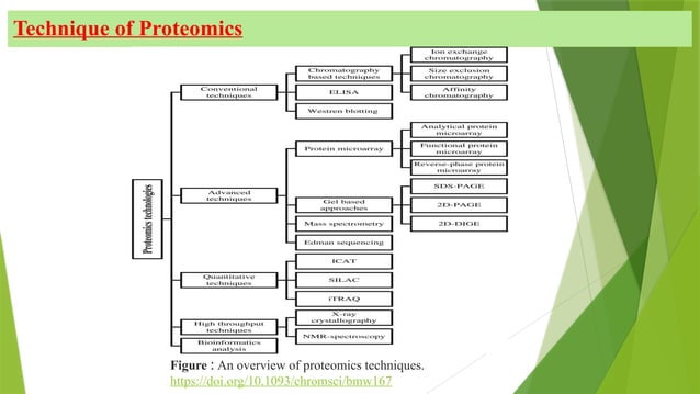 General Principle and application of Proteomics | PPTX