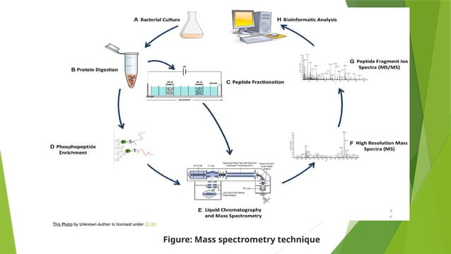 General Principle and application of Proteomics | PPTX