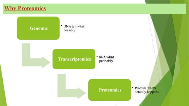 General Principle and application of Proteomics | PPTX