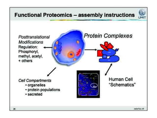 proteomics, types, concept and Applications | PPT