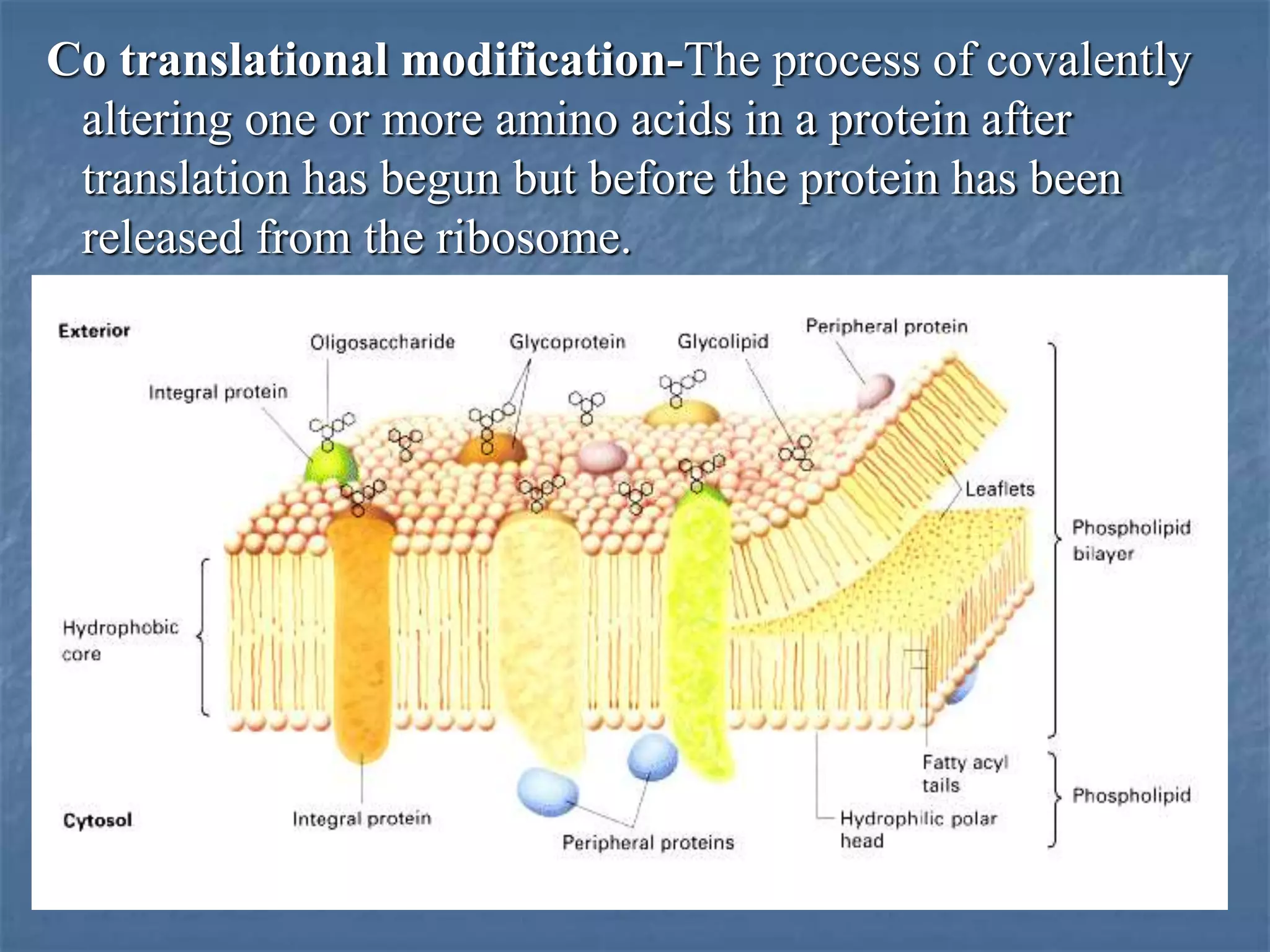 Proteomics, definatio , general concept, signficance | PPT