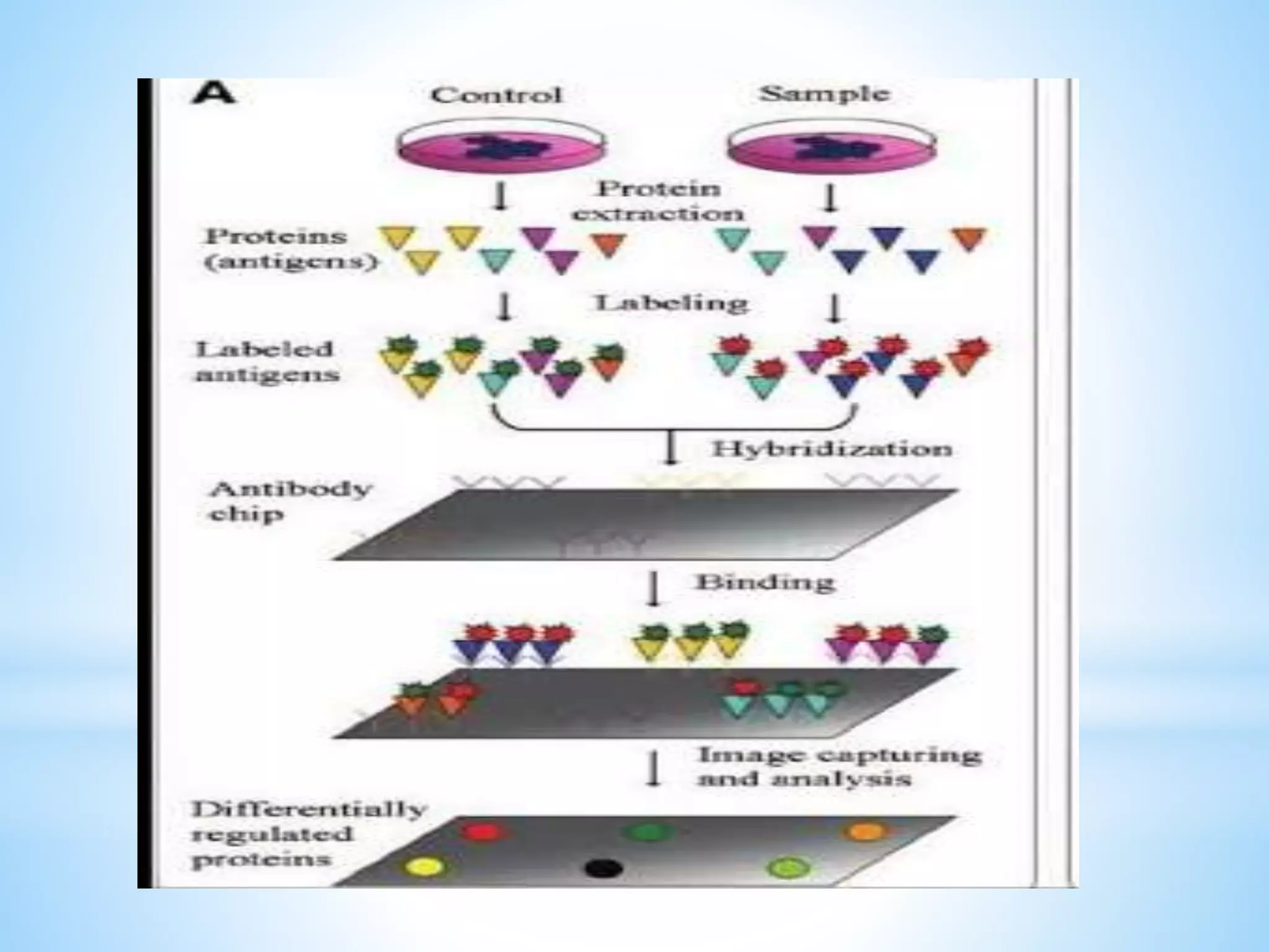 PROTEOMICS- PROTEIN MICROARRAY.pptx