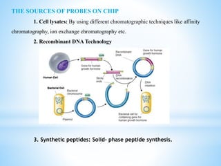 PROTEOMICS- PROTEIN MICROARRAY.pptx | Chemistry | Science