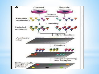 PROTEOMICS- PROTEIN MICROARRAY.pptx | Chemistry | Science