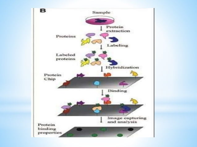 PROTEOMICS- PROTEIN MICROARRAY.pptx | Chemistry | Science