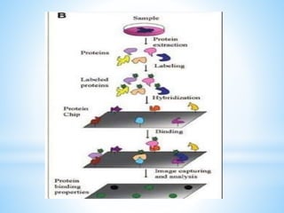 PROTEOMICS- PROTEIN MICROARRAY.pptx