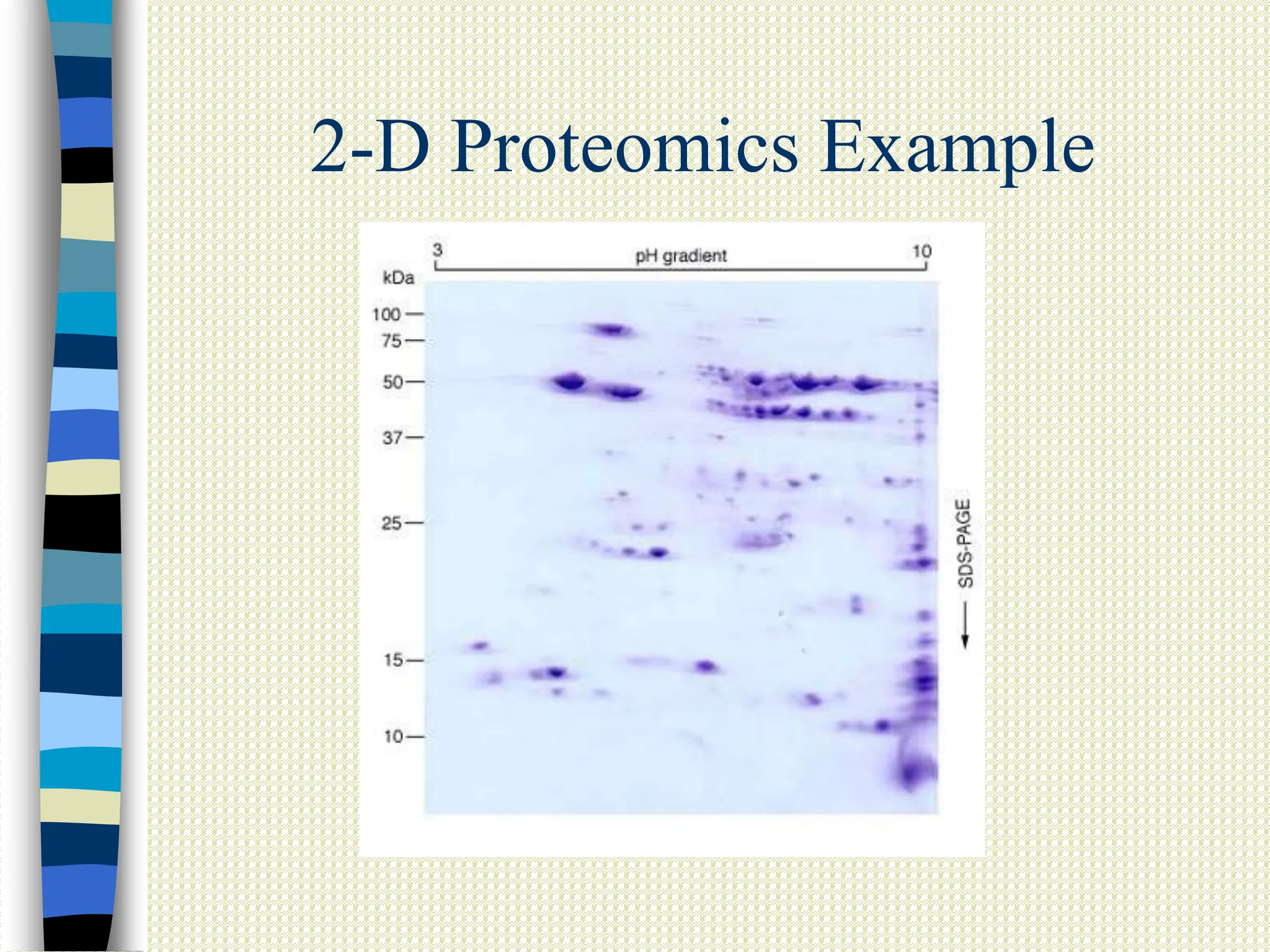 proteomics in detail Power point presentaion.ppt