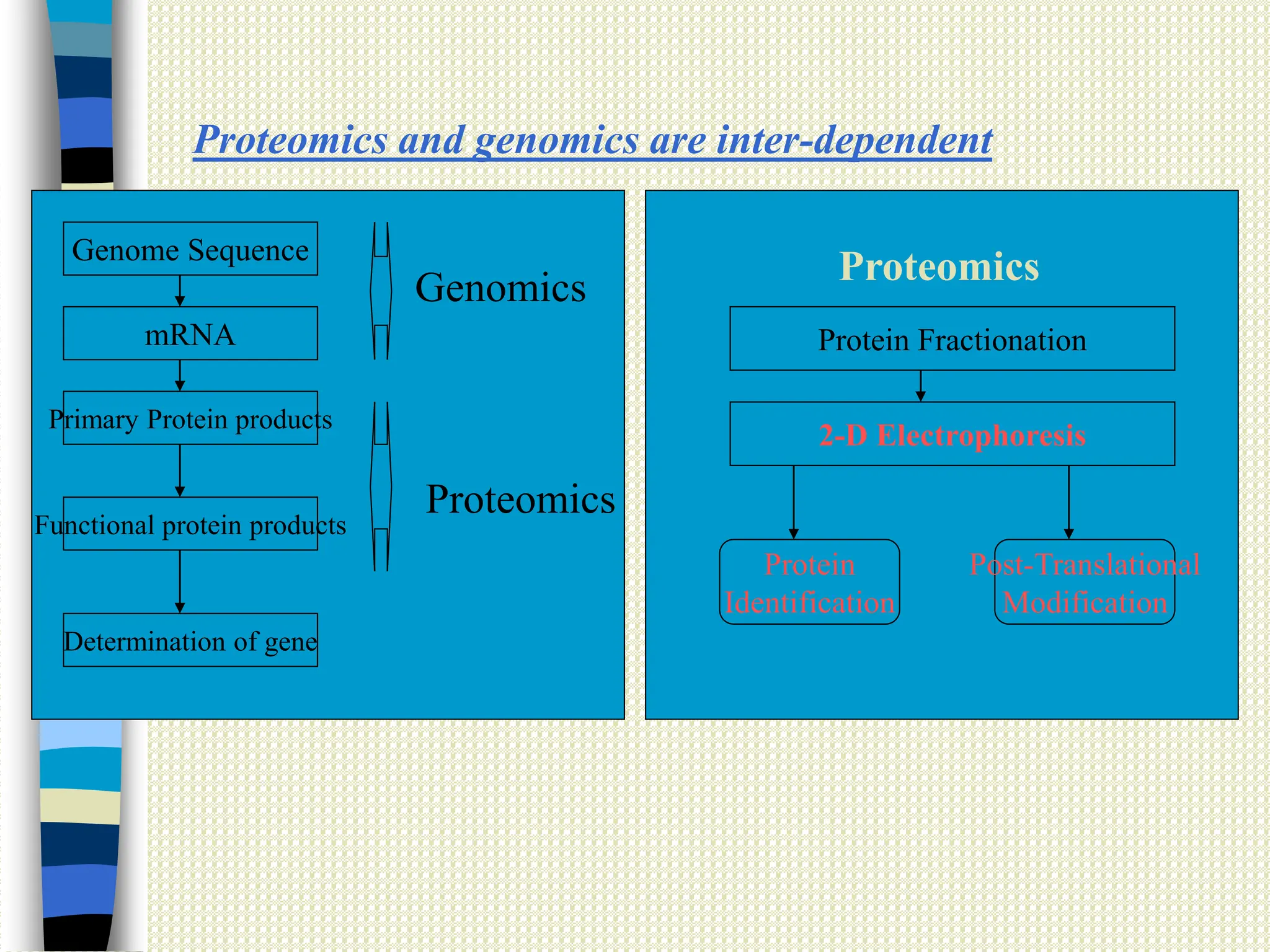 proteomics in detail Power point presentaion.ppt