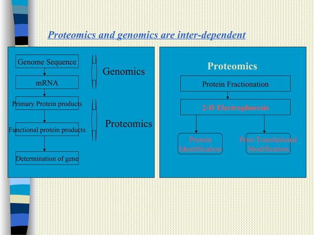2D gel electrophoresis in proteomics.ppt