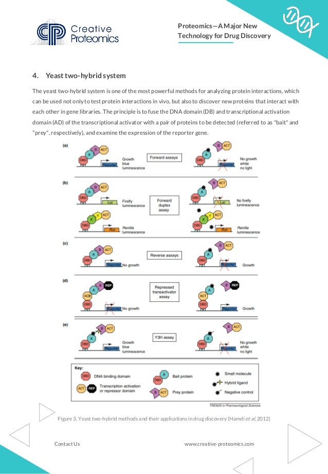 Proteomics accelerates the drug discovery process | PDF