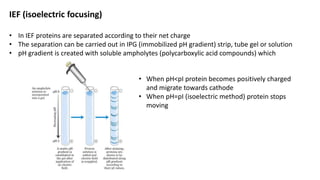 Proteomics and Genomics-010321.pptx | Chemistry | Science
