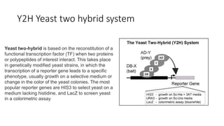 Proteomics and genomics-10032021.pptx | Genetics | Science