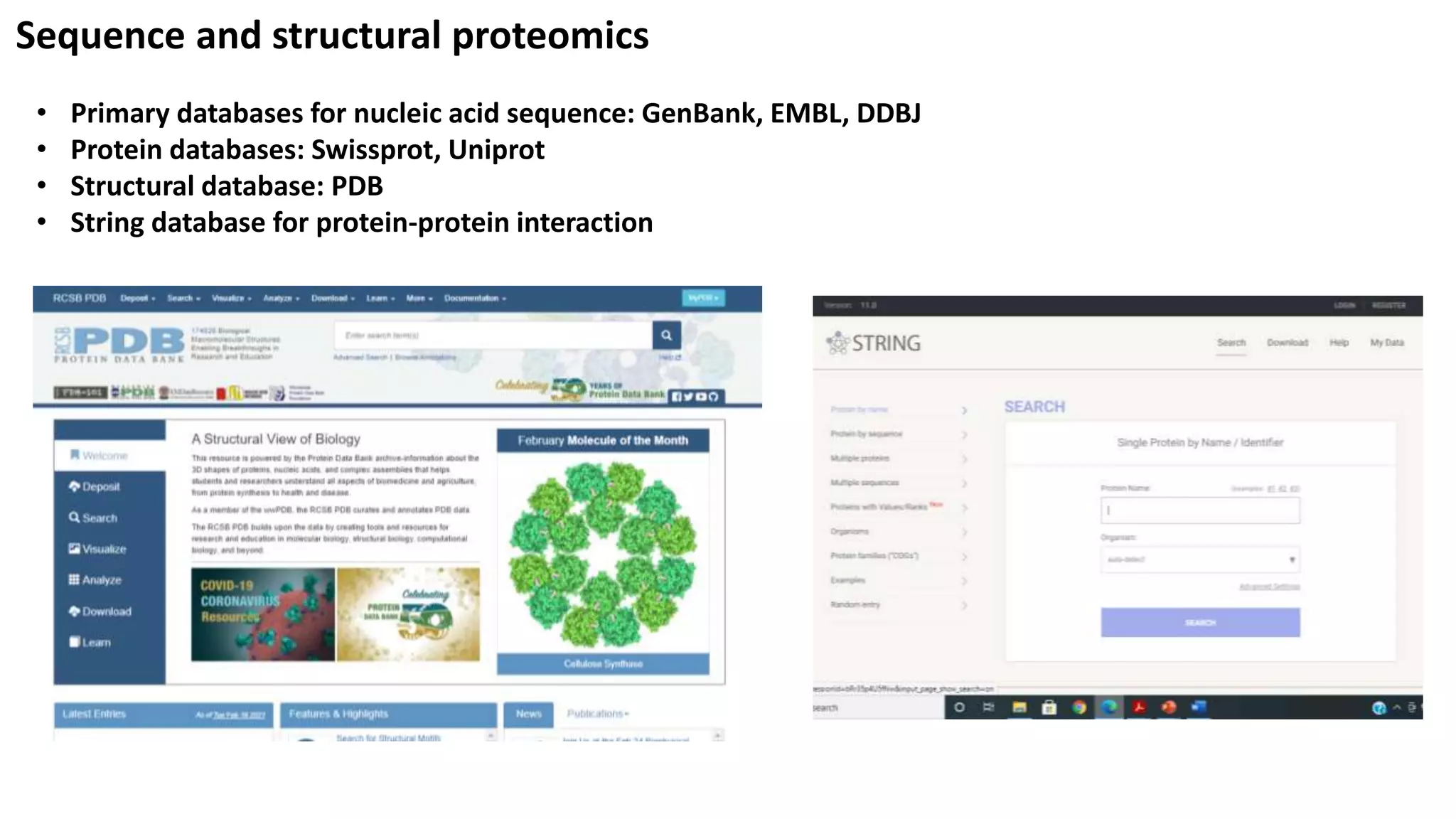Proteomics and Genomics_24022021.pptx
