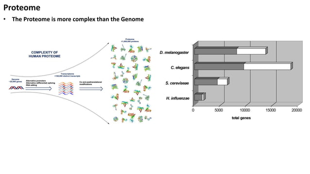 Proteomics and Genomics_24022021.pptx | Genetics | Science