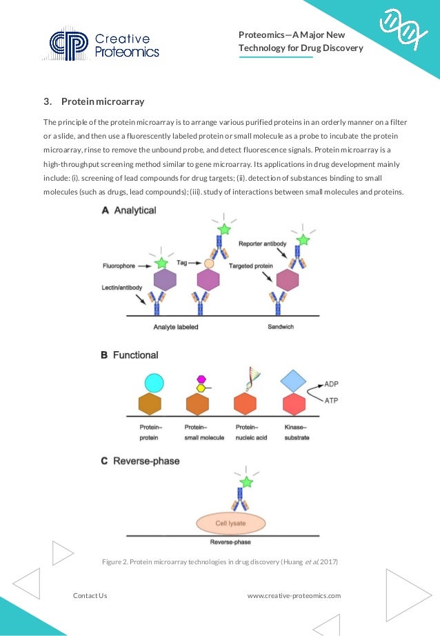 Proteomics and pharmacoproteomics | PDF