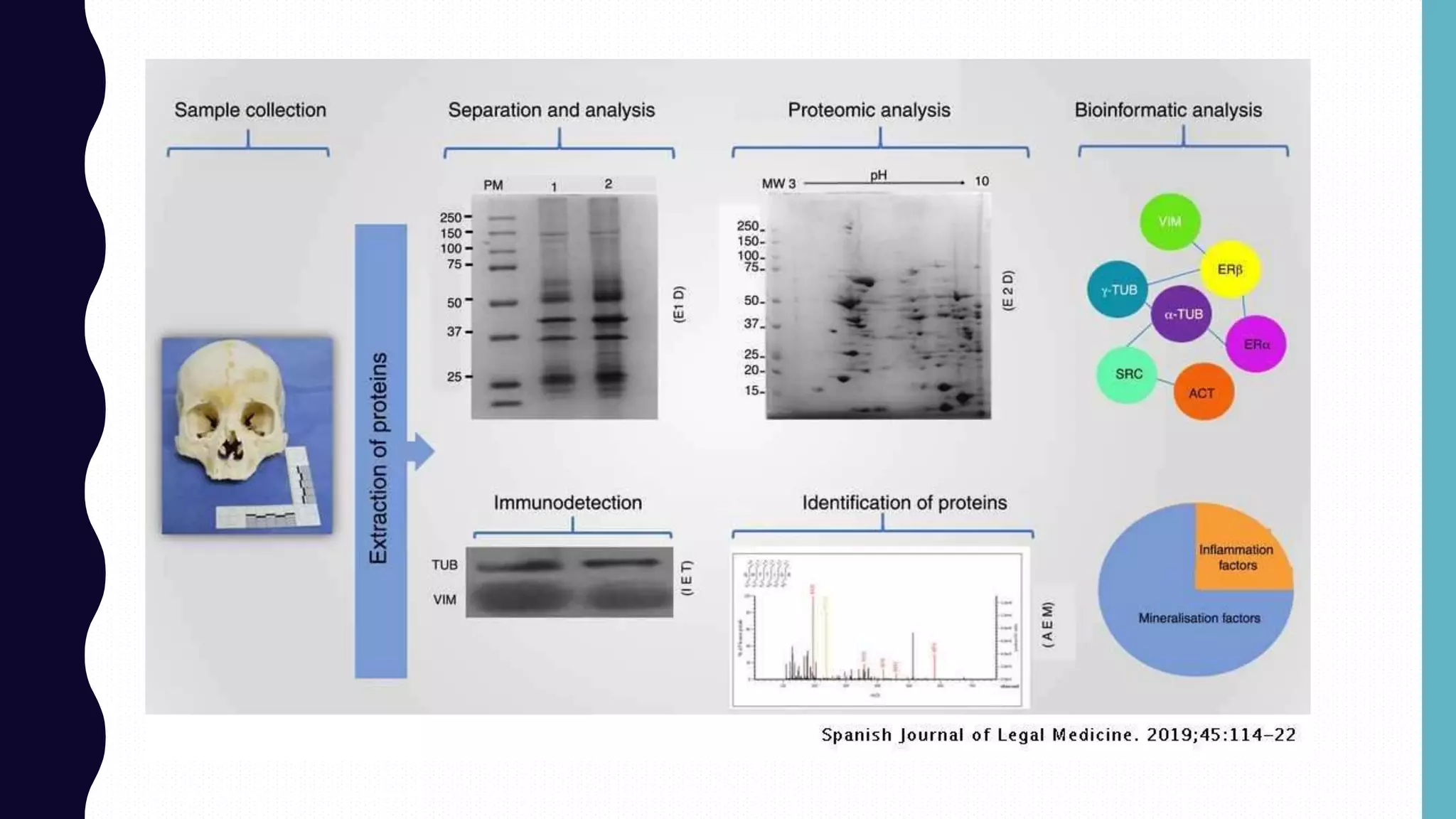 Proteomics in forensic sciences | PPTX