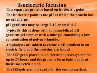 proteomics lecture 2b.ppt protein structure determination | PPT
