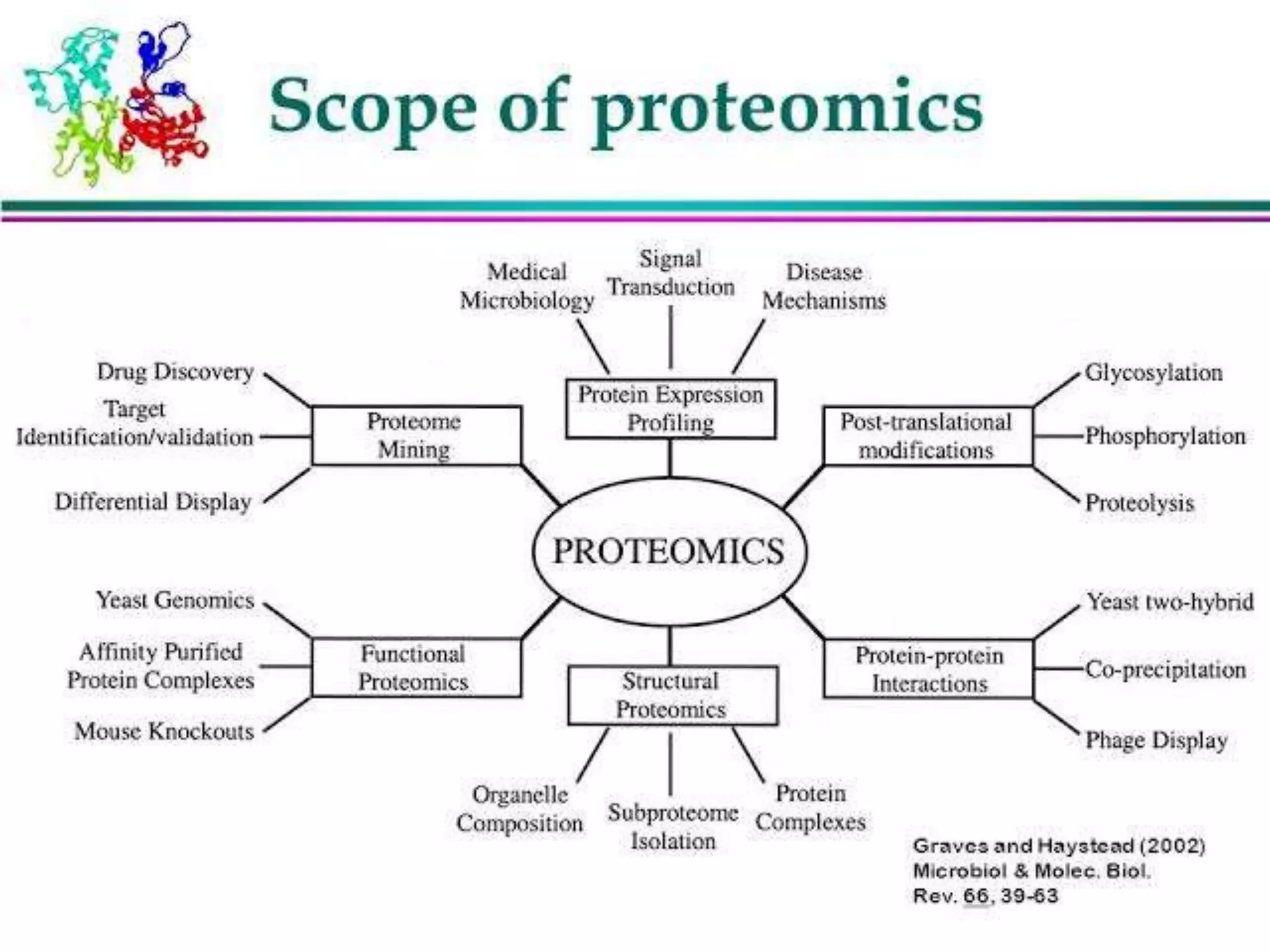 proteomics scope and its importance by aniqa atta | PPT