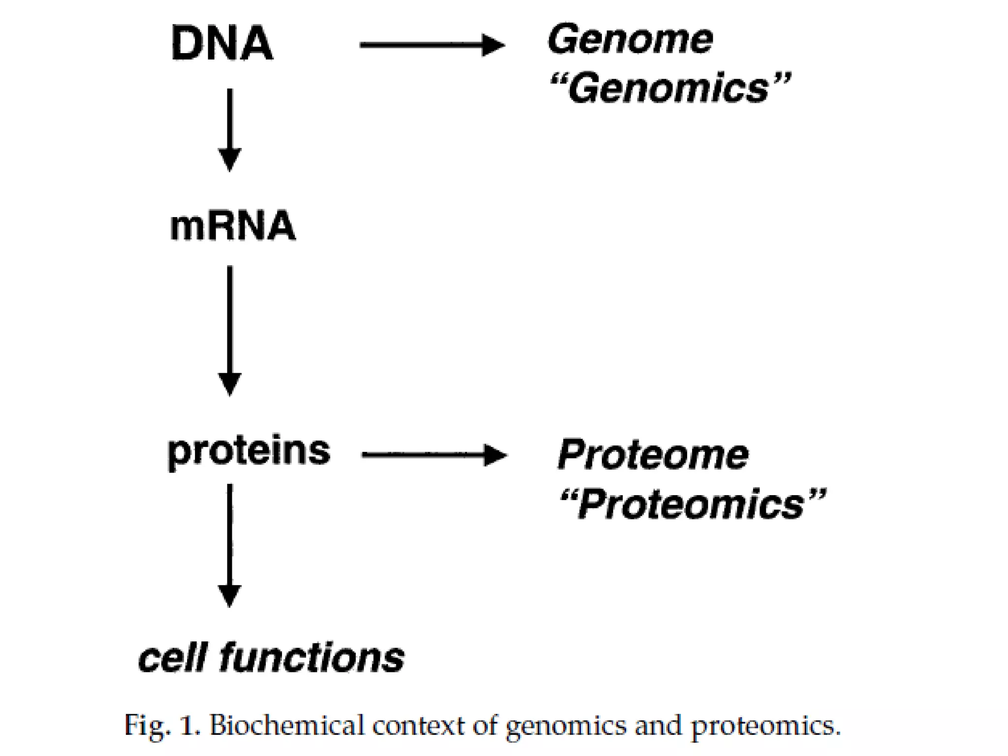Proteomics, techniques, applications.pdf