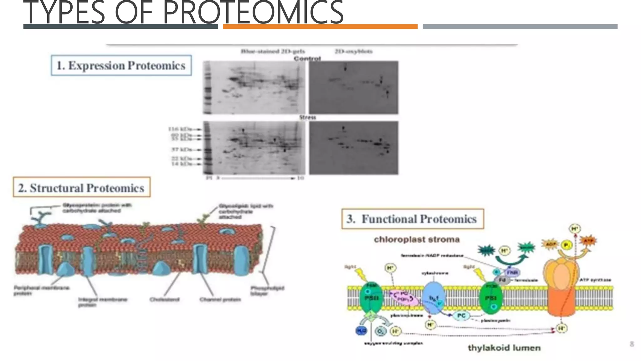 Proteomic study of leaves by Puja Ghosh | PPTX