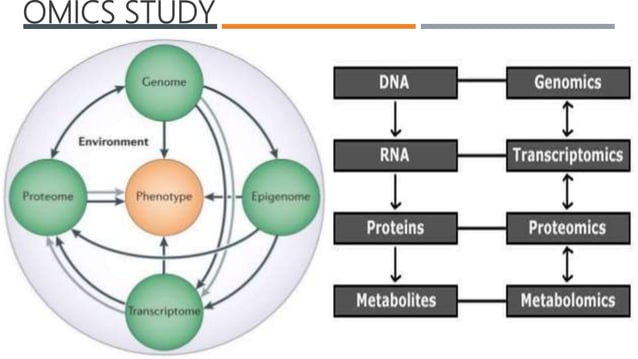 Proteomic study of leaves by Puja Ghosh | PPT