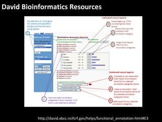 Gene Ontology Enrichment Network Analysis -Tutorial | PPT