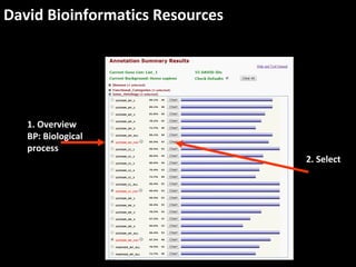 Gene Ontology Enrichment Network Analysis -Tutorial | PPT