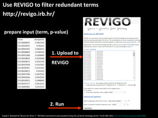Gene Ontology Enrichment Network Analysis -Tutorial | PPT