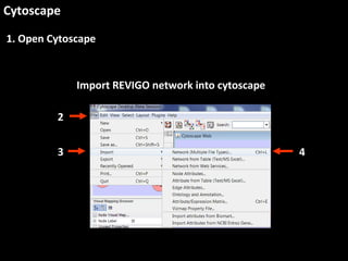 Gene Ontology Enrichment Network Analysis -Tutorial | PPT
