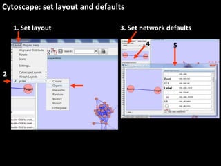 Gene Ontology Enrichment Network Analysis -Tutorial | PPT