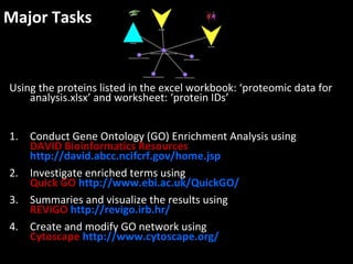 Gene Ontology Network Enrichment Analysis | PPT