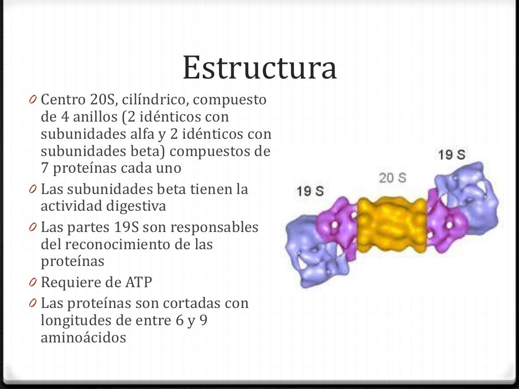 Proteosomas