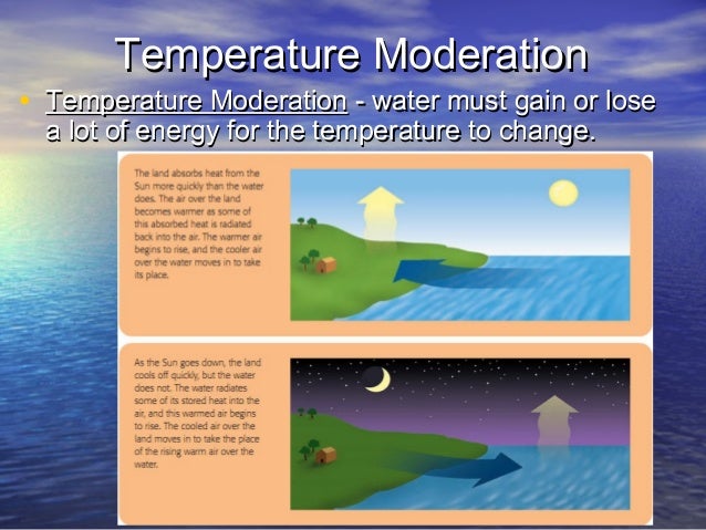 Proteries of Water Notes