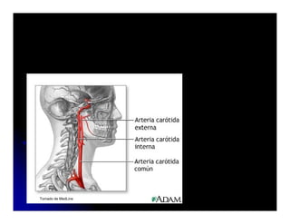 Protesis de condilo mandibular | PDF