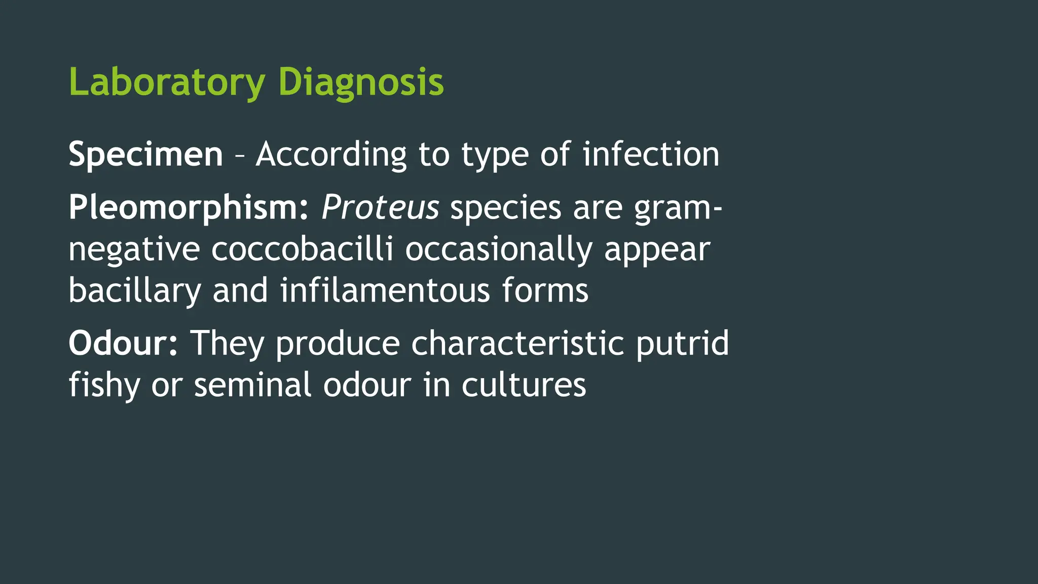 Proteus microbiology topic bacteria ppt. | PPTX