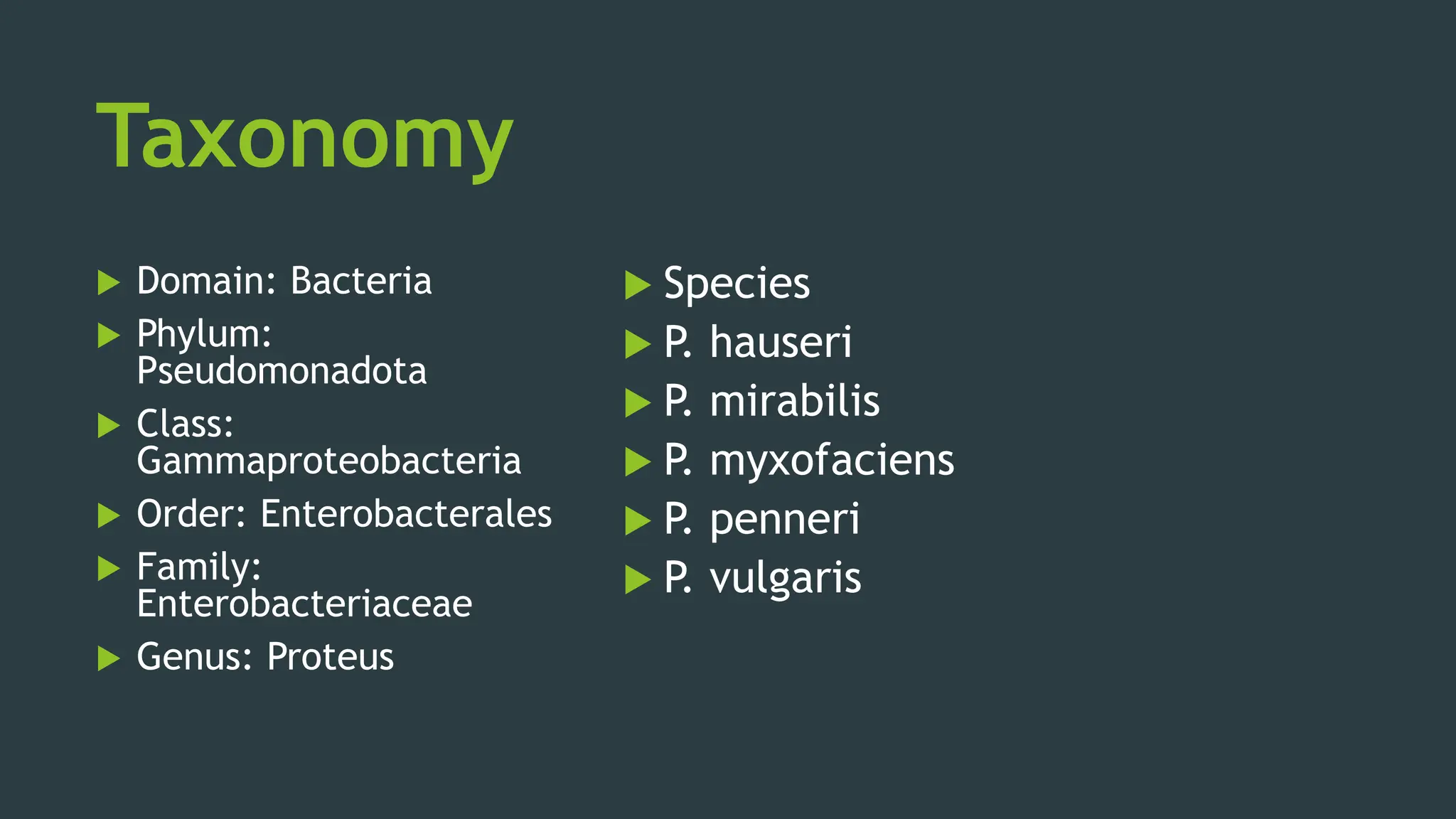 Proteus microbiology topic bacteria ppt. | PPTX