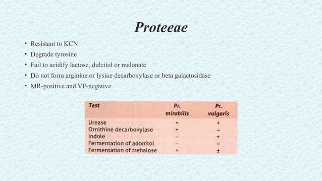 proteus by Dr j.jayaprakash Cuddalore.pptx