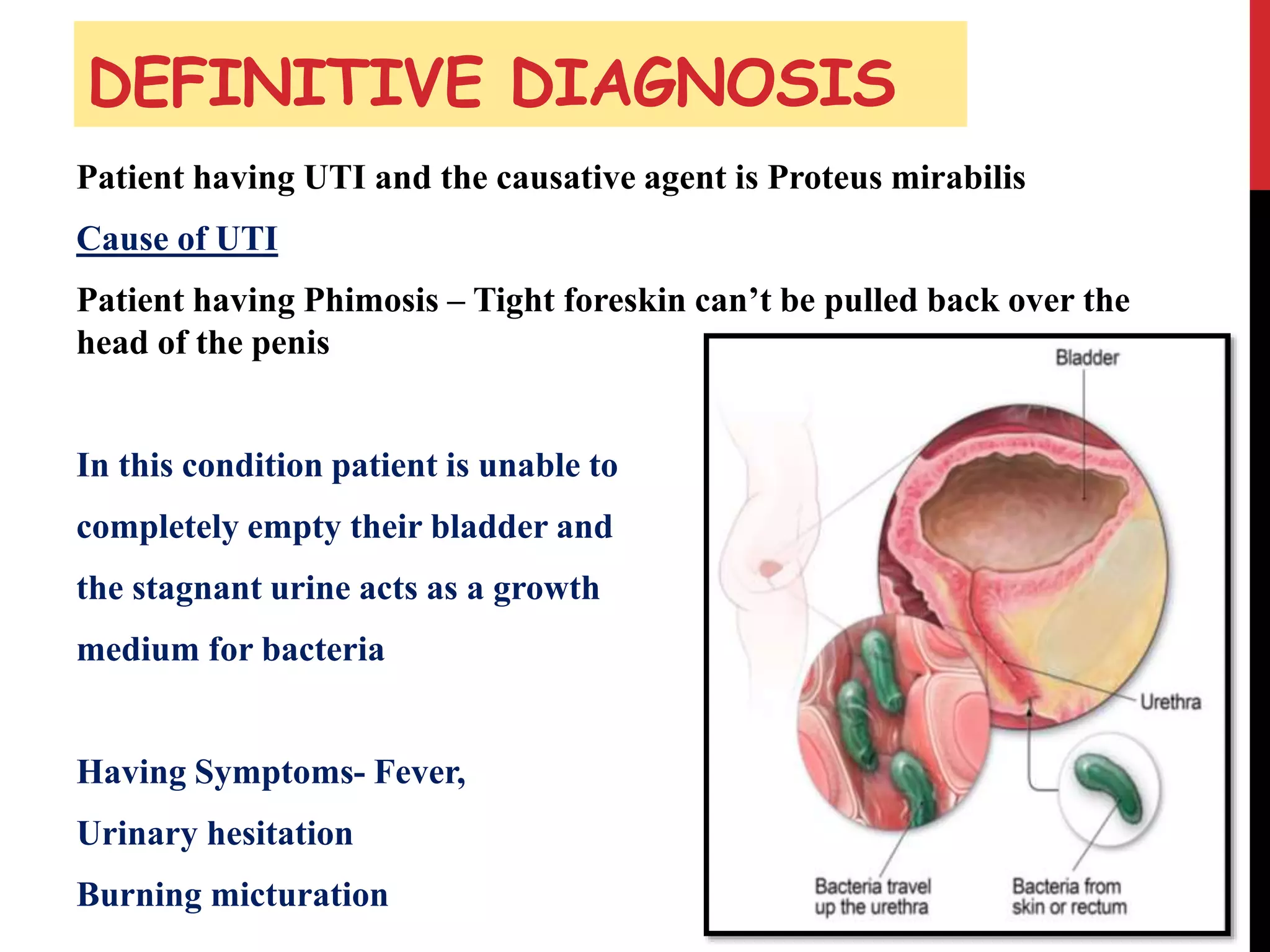 Clinical case presentation, Proteus mirabilis.pptx