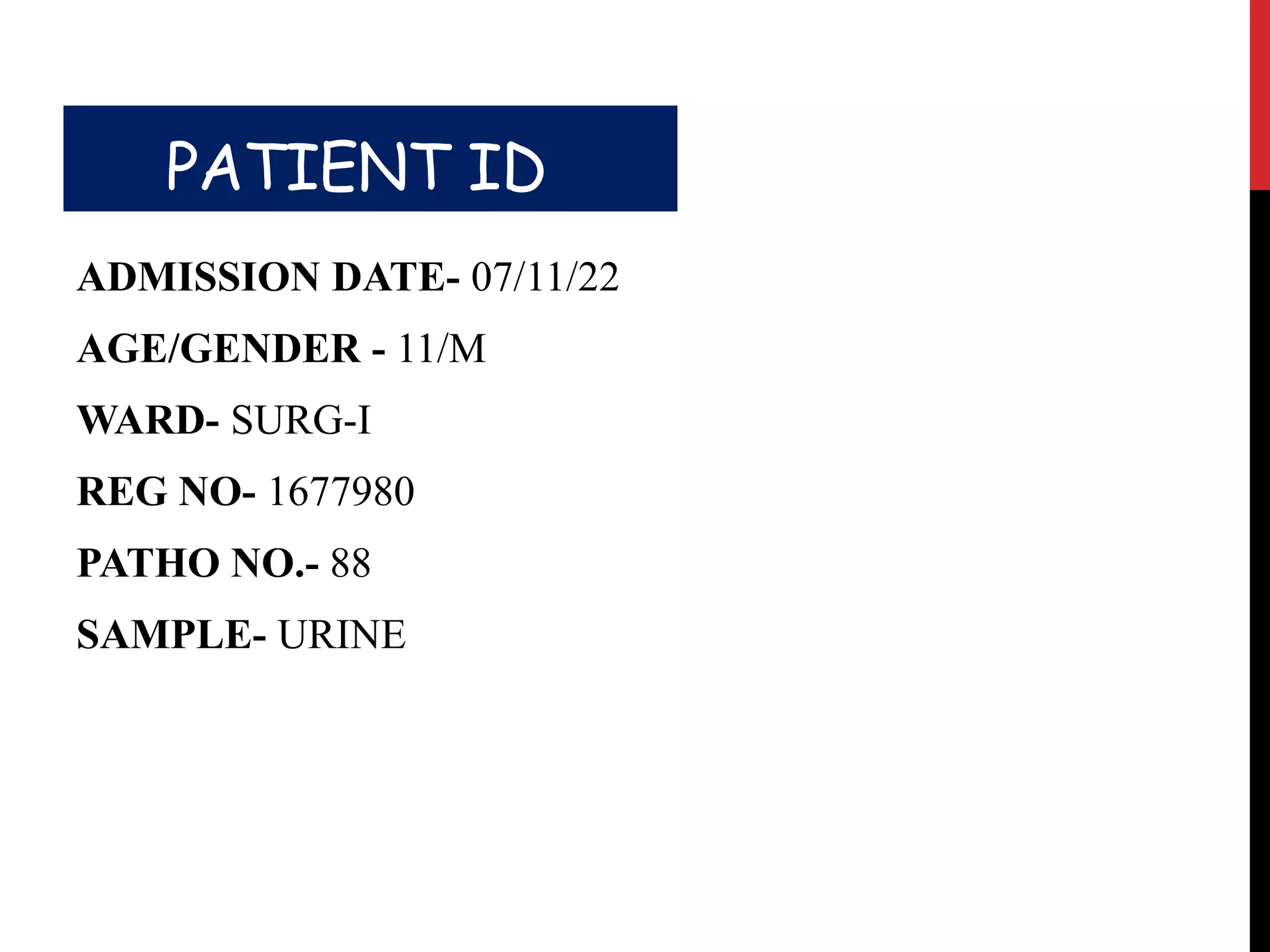 Clinical case presentation, Proteus mirabilis.pptx