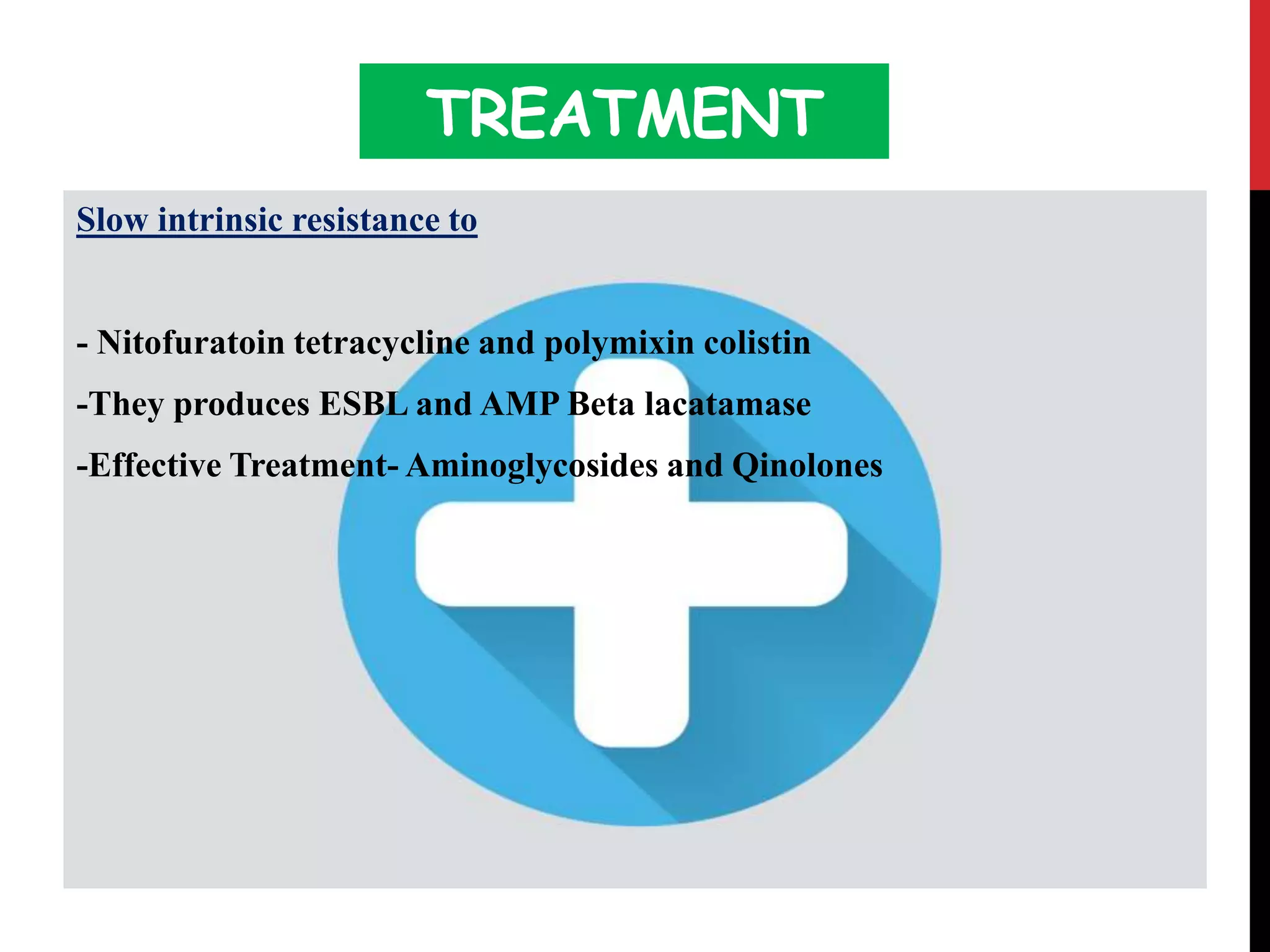 Clinical case presentation, Proteus mirabilis.pptx