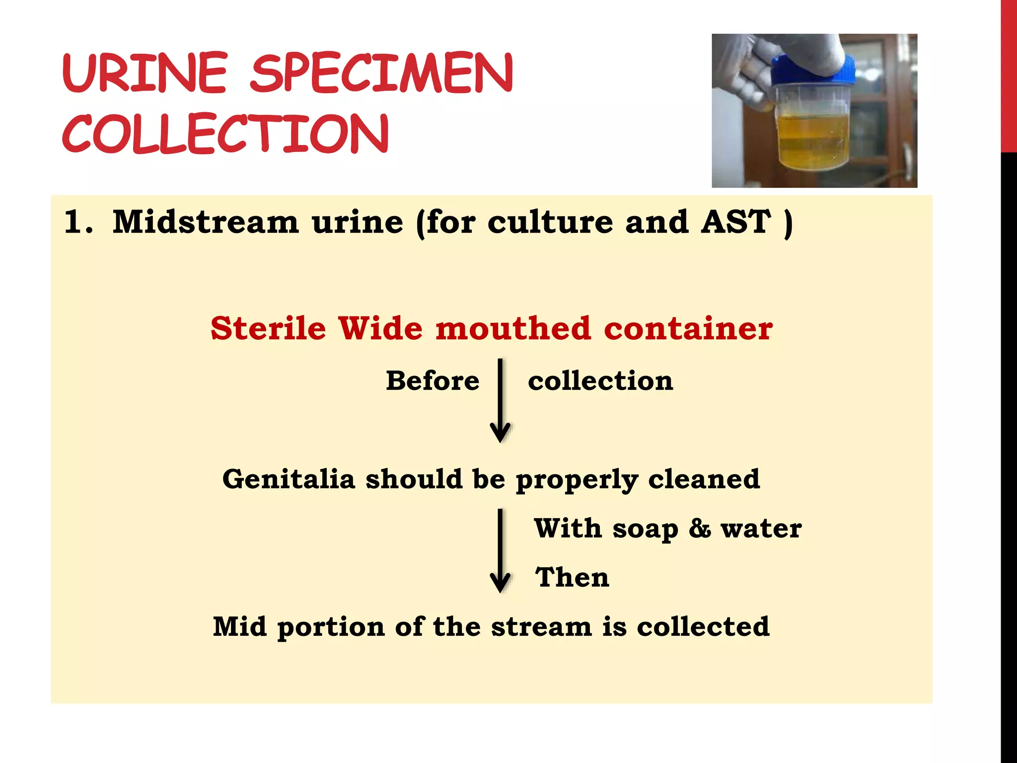 Clinical case presentation, Proteus mirabilis.pptx