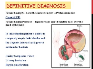 Clinical case presentation, Proteus mirabilis.pptx