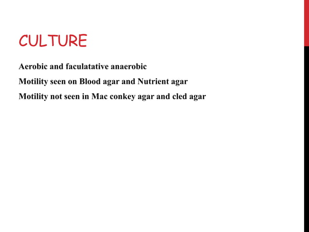 Clinical case presentation, Proteus mirabilis.pptx