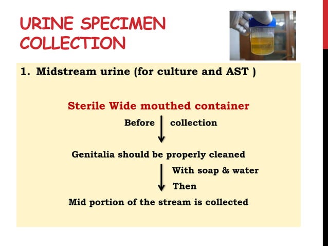 Clinical case presentation, Proteus mirabilis.pptx