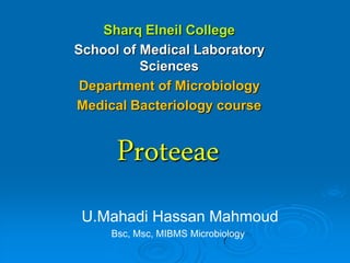 Proteus mahadi ppt | PDF